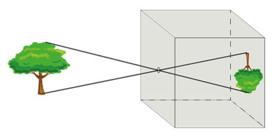 CAMERA OBSCURA – AND EARLY THOUGHTS ON LIGHT - Vision Optics